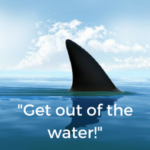 What It Means To “Hear Shark Music” And What To Do About It! - Kristie ...